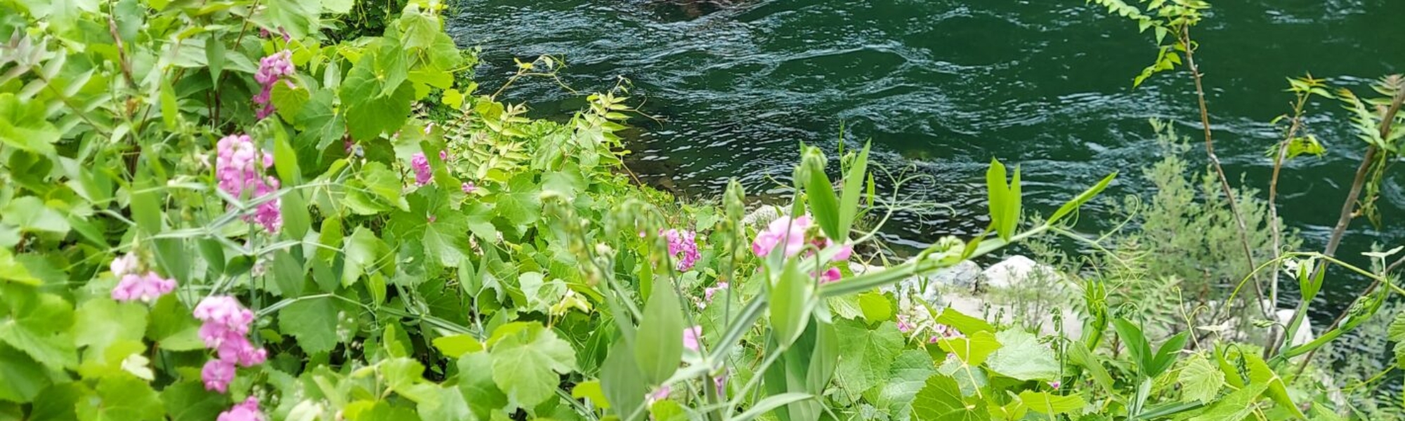 White Water River Rafting Trips in Northern California at Six Rivers ...